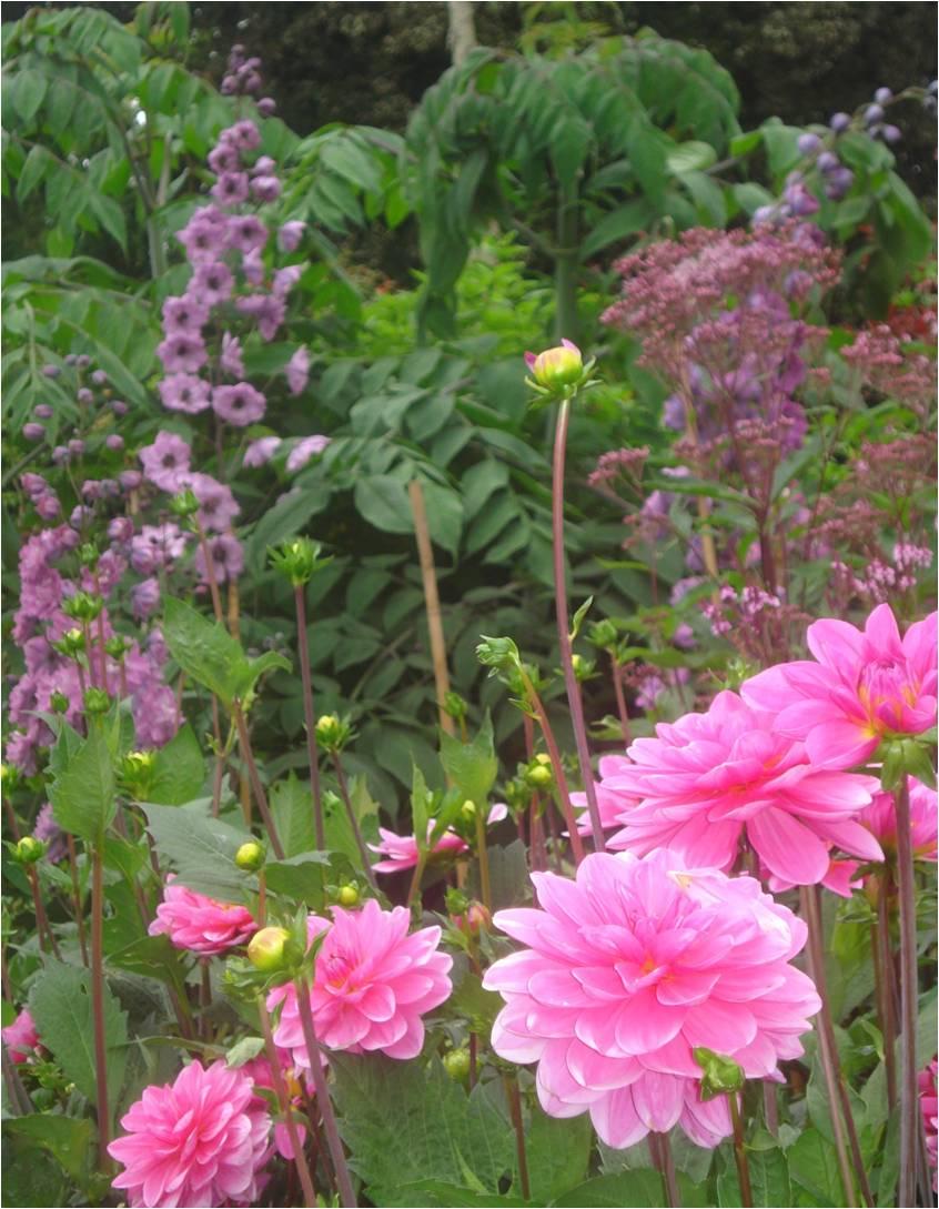 Neil Porteous shares his thoughts on new garden designs - Maitri Studio ...